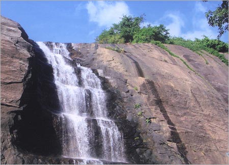 rediff.com: Under the Kuttalam falls
