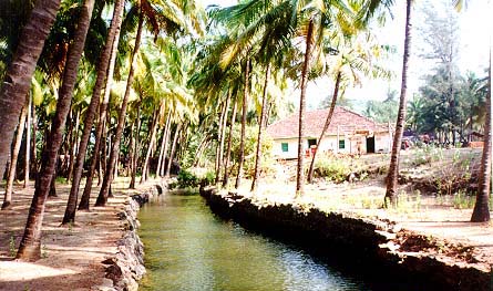 Rediff On The NeT Travel: A travel feature on Goa, India.